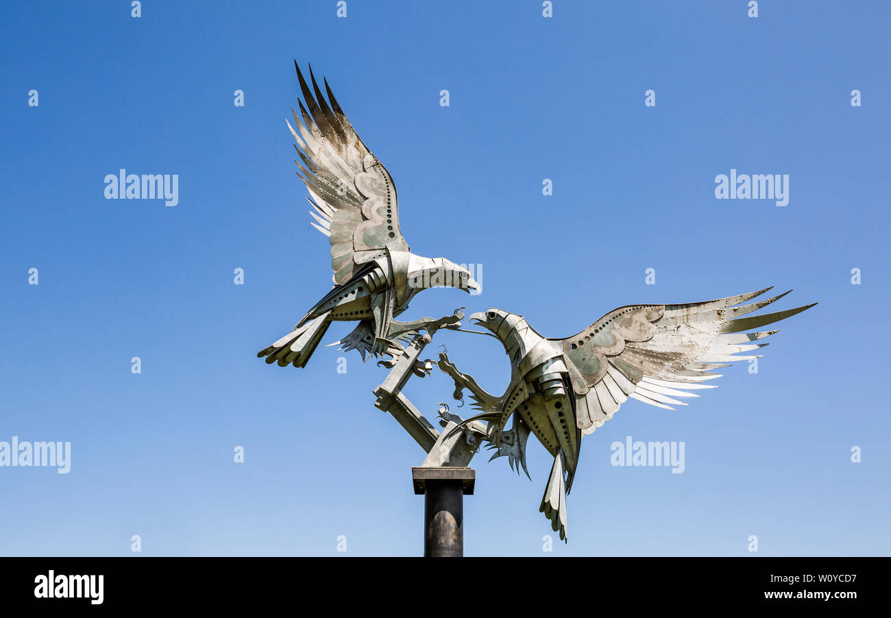 Buzzards in uk hi-res stock photography and images - Alamy