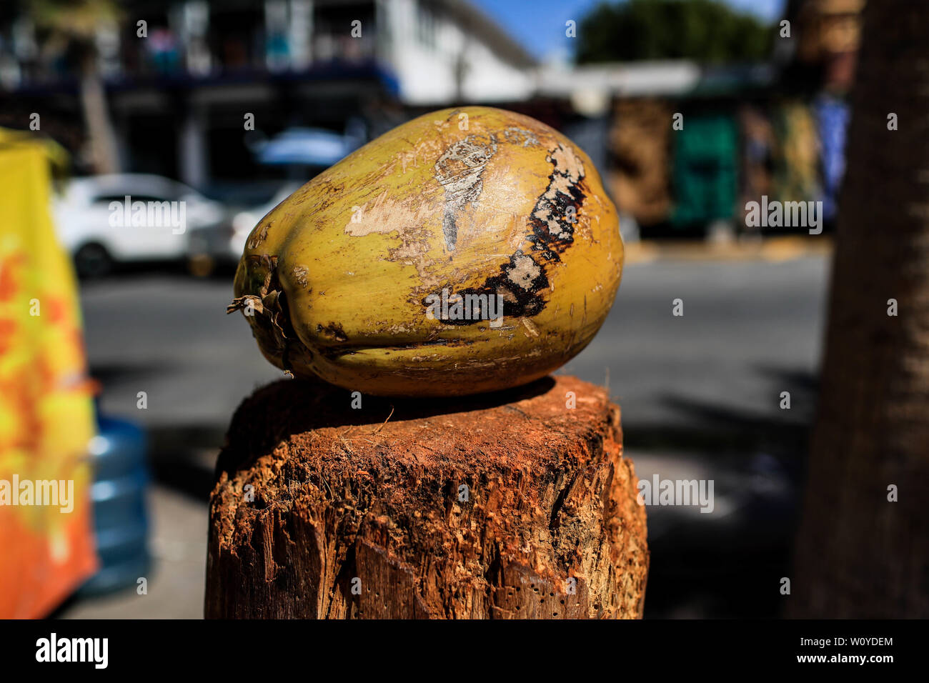 Coco fruta tropical hi-res stock photography and images - Alamy