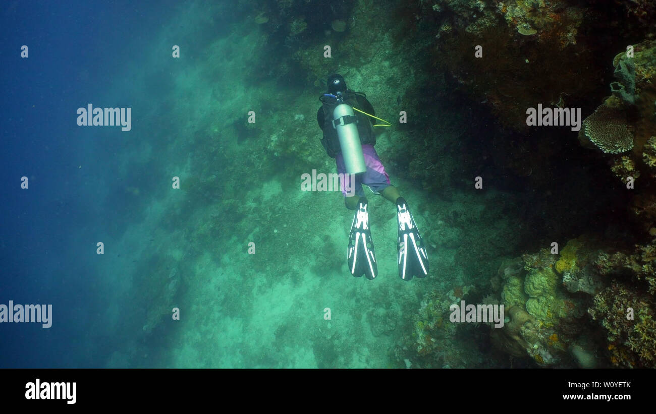 Scuba diver explores underwater coral reef and watching fish.Scuba ...