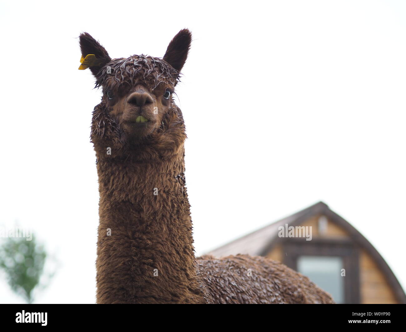 Pod camping hi-res stock photography and images - Alamy