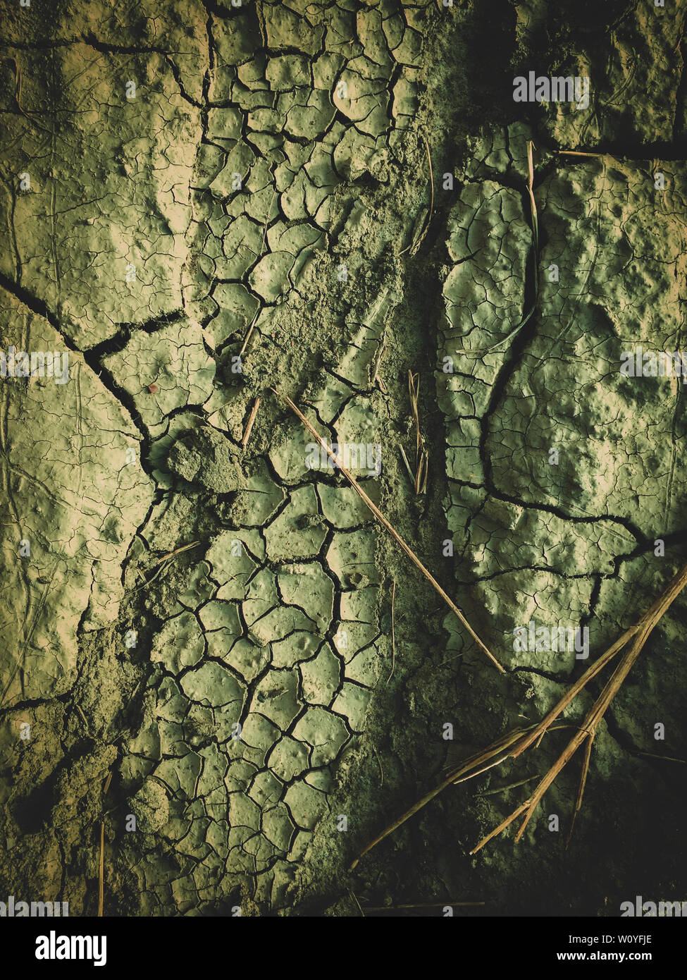 poisoned dead dry soil post apocalypse background Stock Photo - Alamy