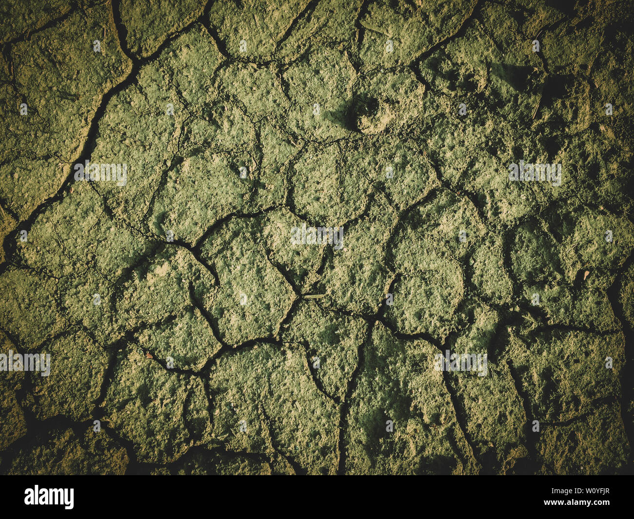poisoned dead dry soil post apocalypse background Stock Photo - Alamy