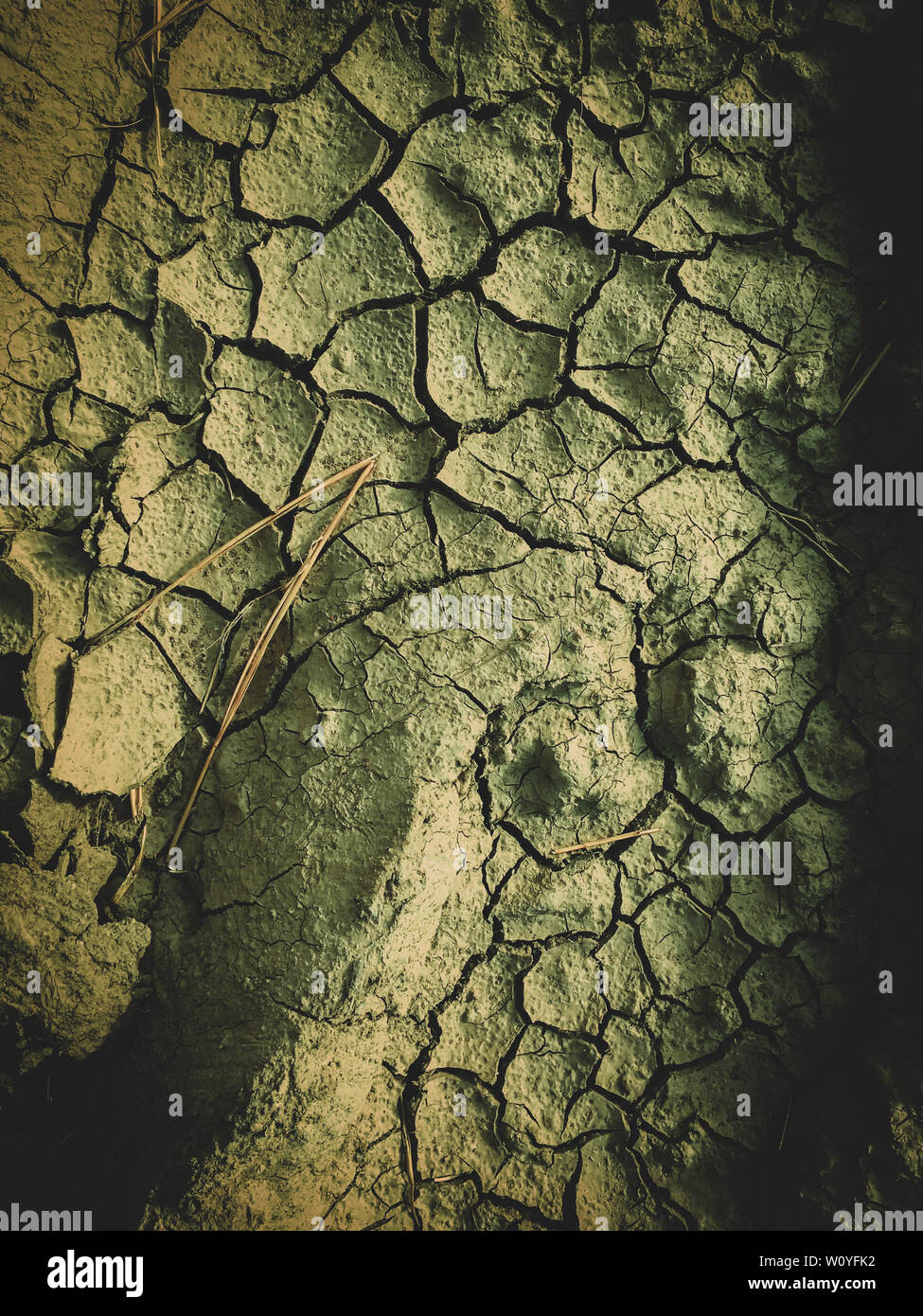 poisoned dead dry soil post apocalypse background Stock Photo - Alamy