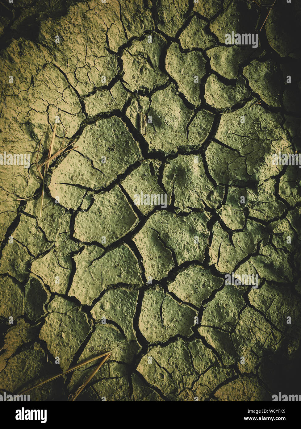 poisoned dead dry soil post apocalypse background Stock Photo - Alamy