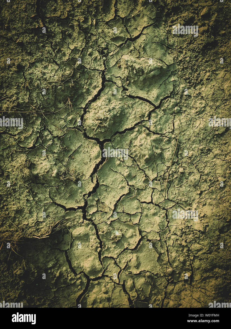 poisoned dead dry soil post apocalypse background Stock Photo - Alamy