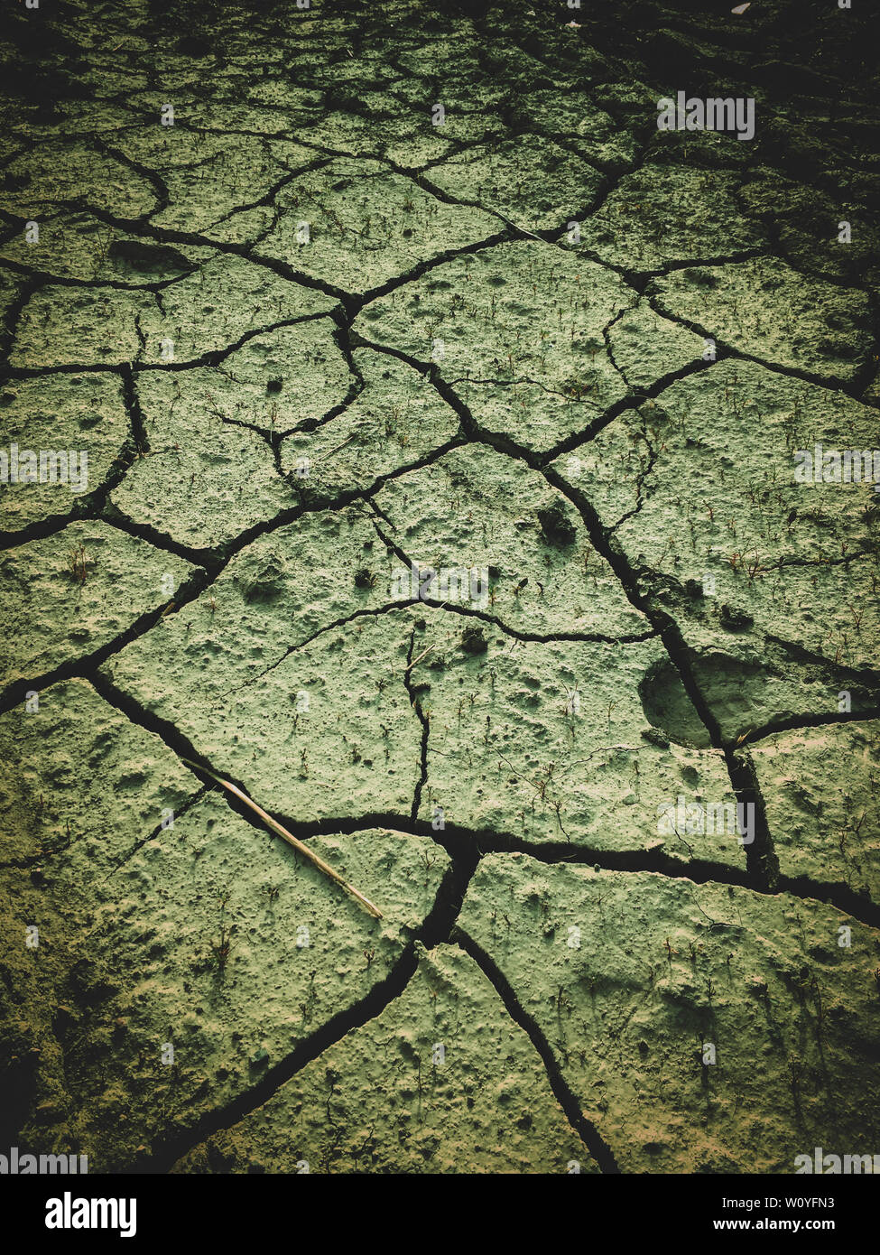 poisoned dead dry soil post apocalypse background Stock Photo - Alamy