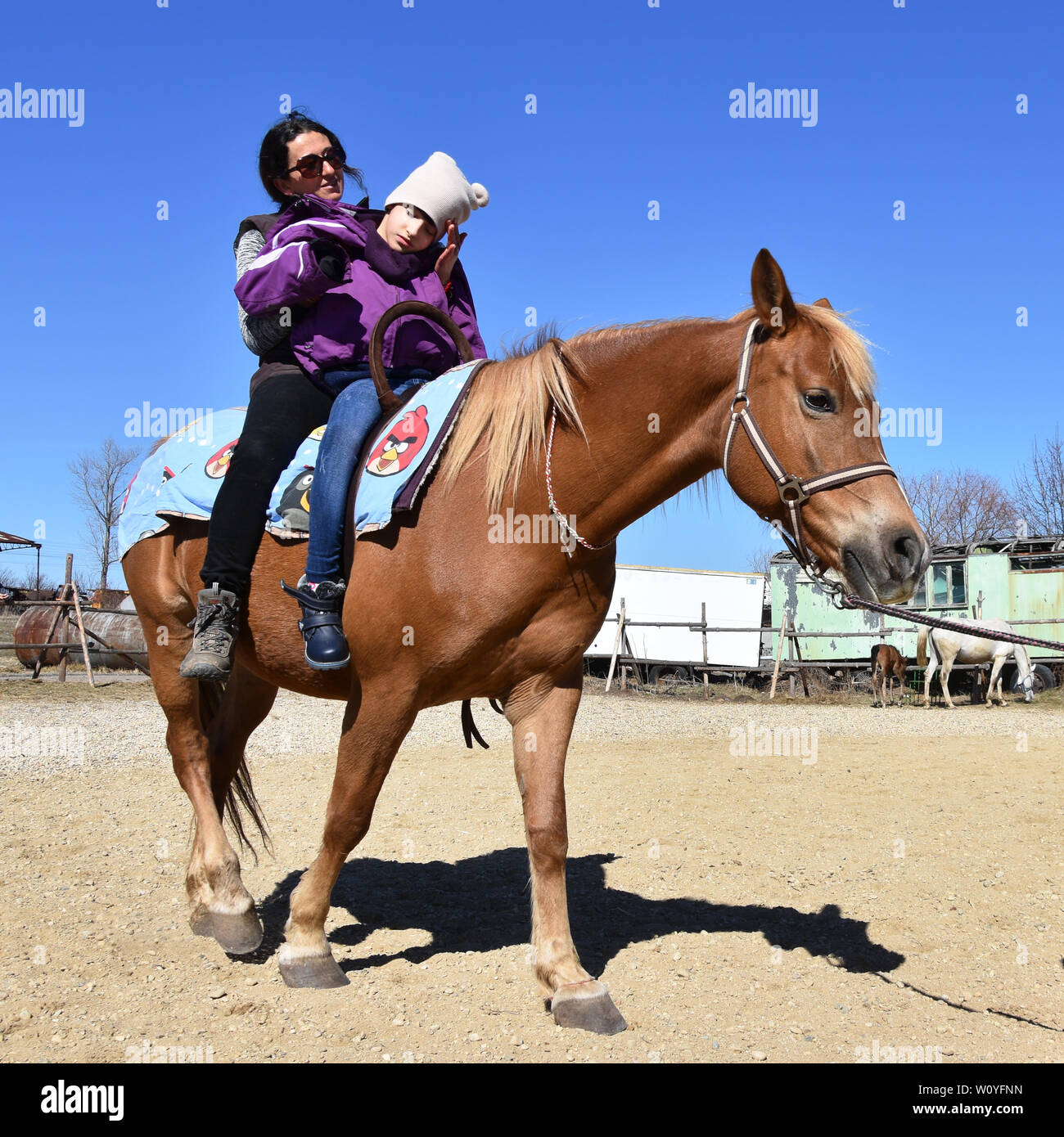 Cerebral palsy child hi-res stock photography and images - Alamy