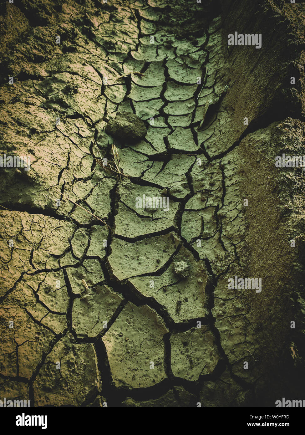 poisoned dead dry soil post apocalypse background Stock Photo - Alamy