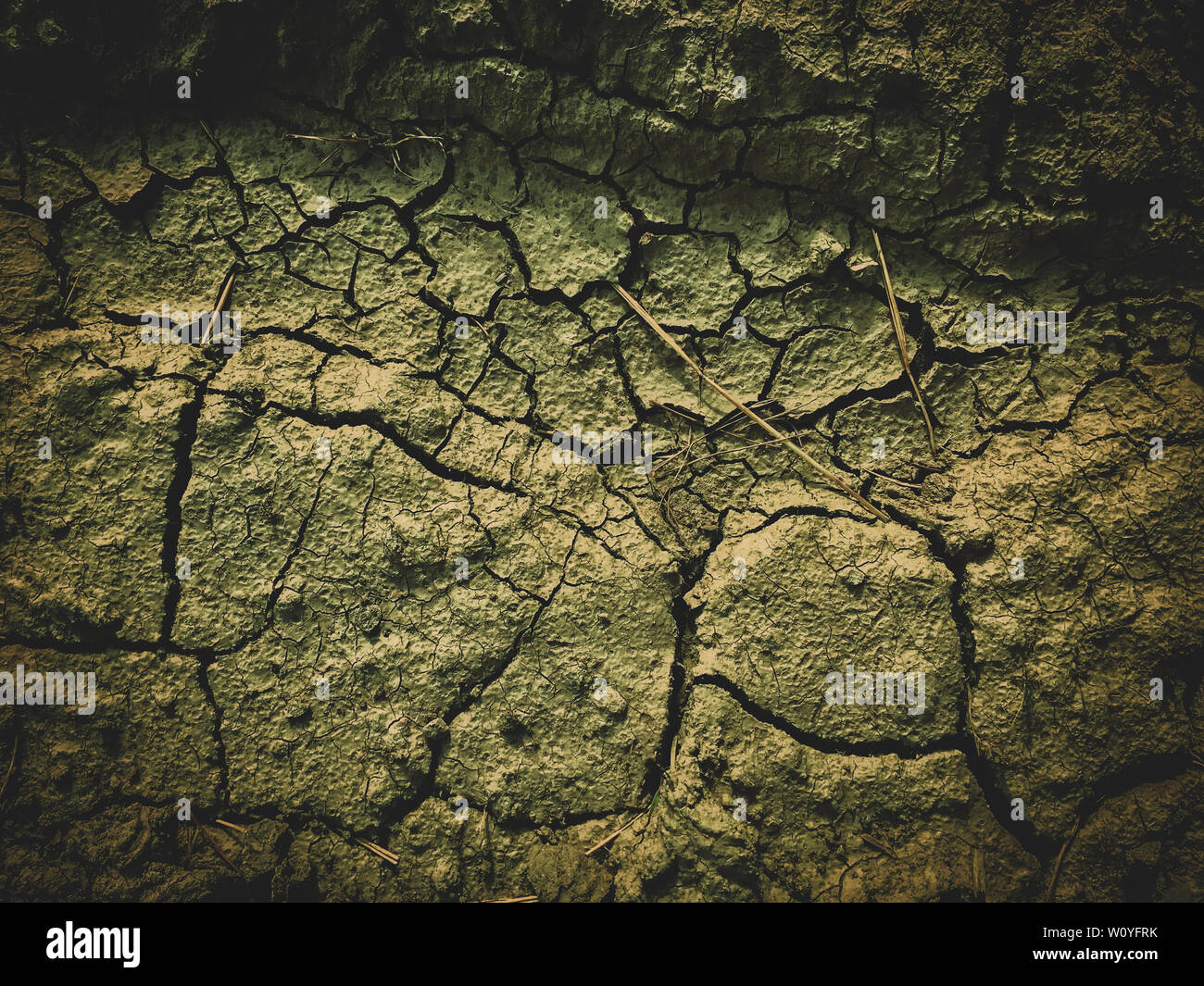 poisoned dead dry soil post apocalypse background Stock Photo - Alamy