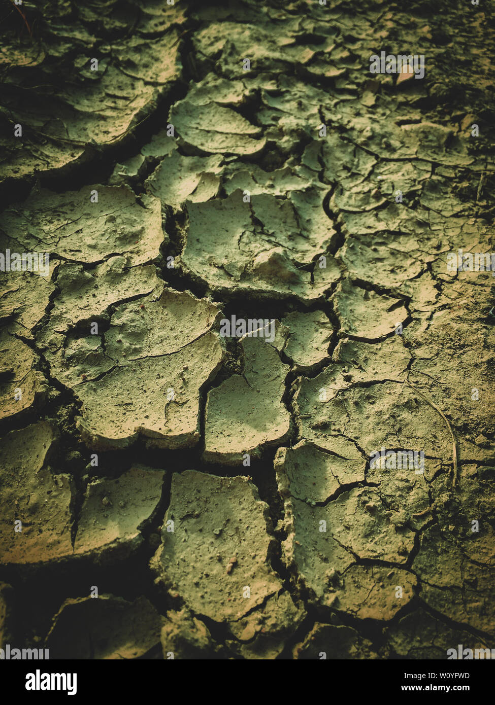 poisoned dead dry soil post apocalypse background Stock Photo - Alamy