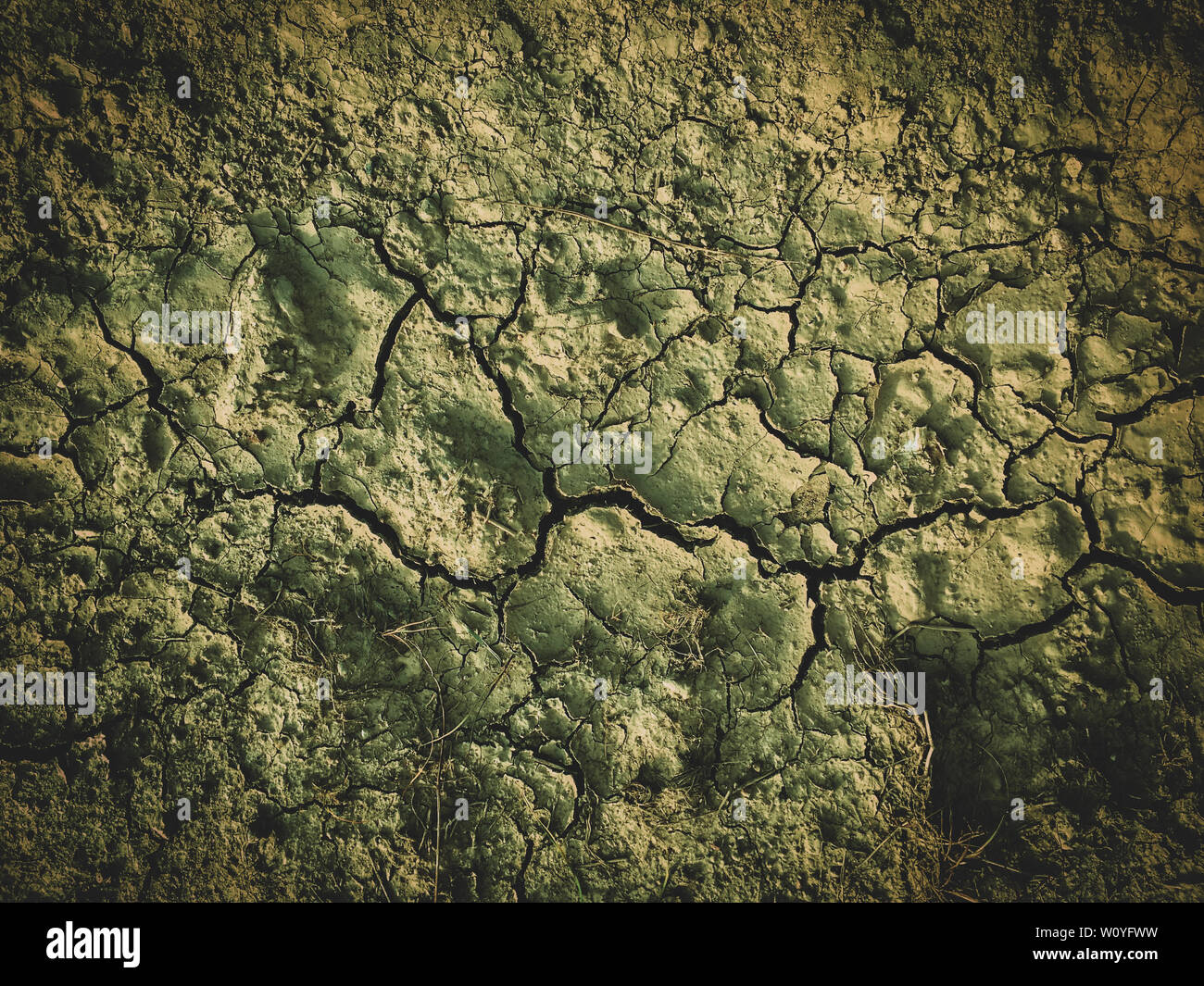 poisoned dead dry soil post apocalypse background Stock Photo - Alamy