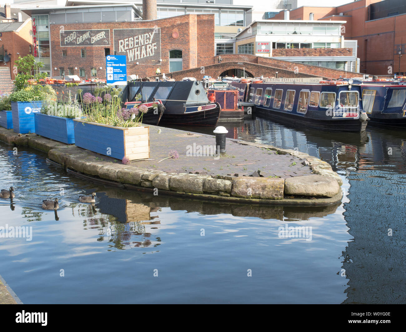 Birmingham canal and bird's hi-res stock photography and images - Alamy