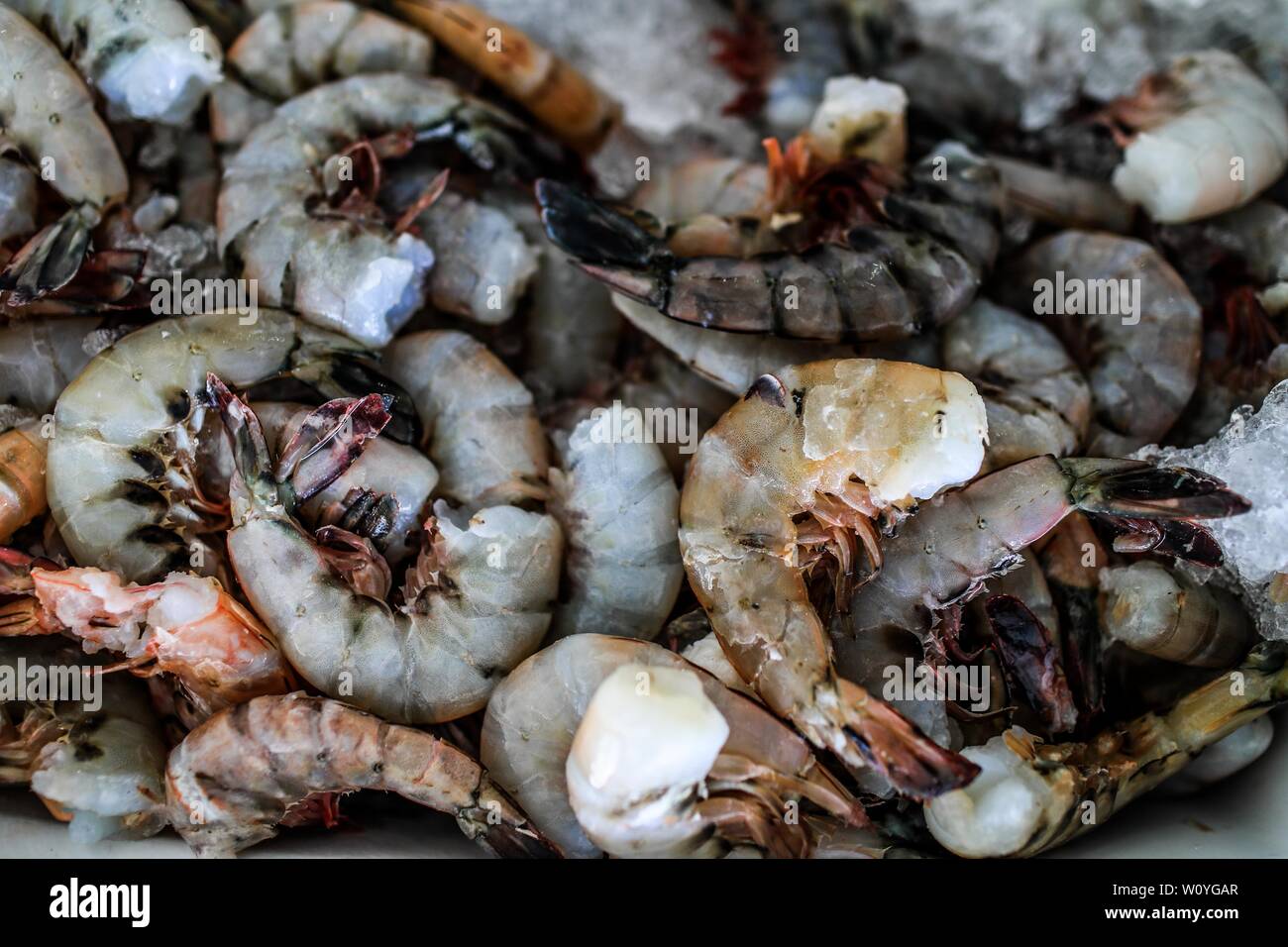 Mariscos del mar hi-res stock photography and images - Alamy