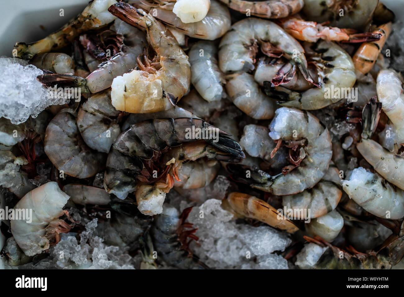 Sale of shrimp, percado, seafood of the sea. Food of the sea. tourist ...