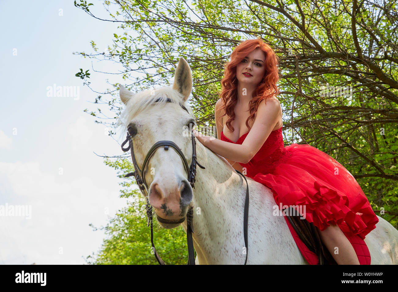 Girl in beautiful red dress on white horse in Park or forest. Photo ...