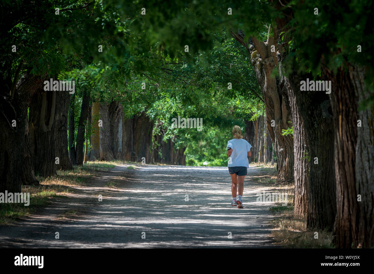 Woman running on forest trail hi-res stock photography and images - Alamy