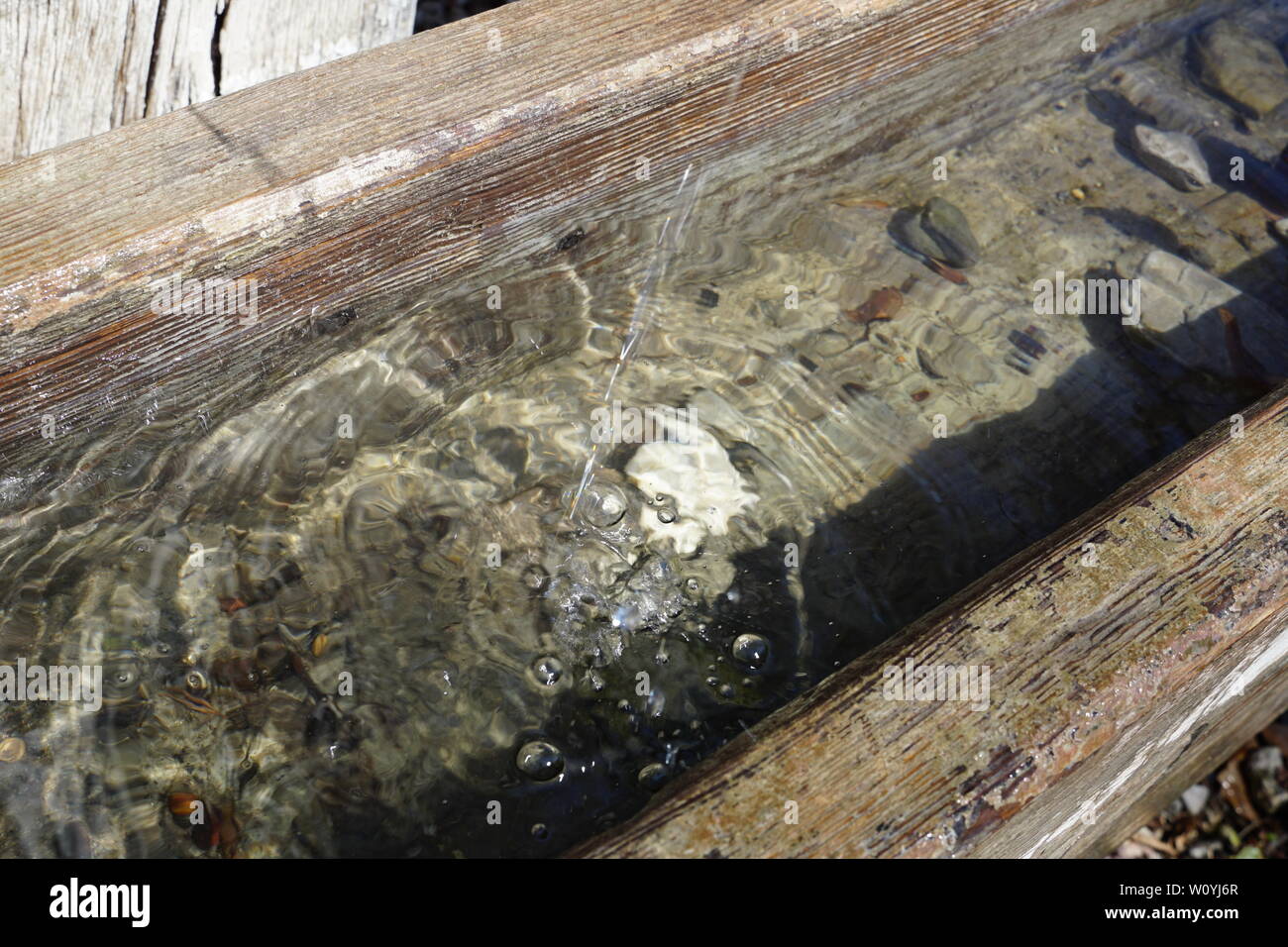 wooden drinking trough with fresh water Stock Photo - Alamy