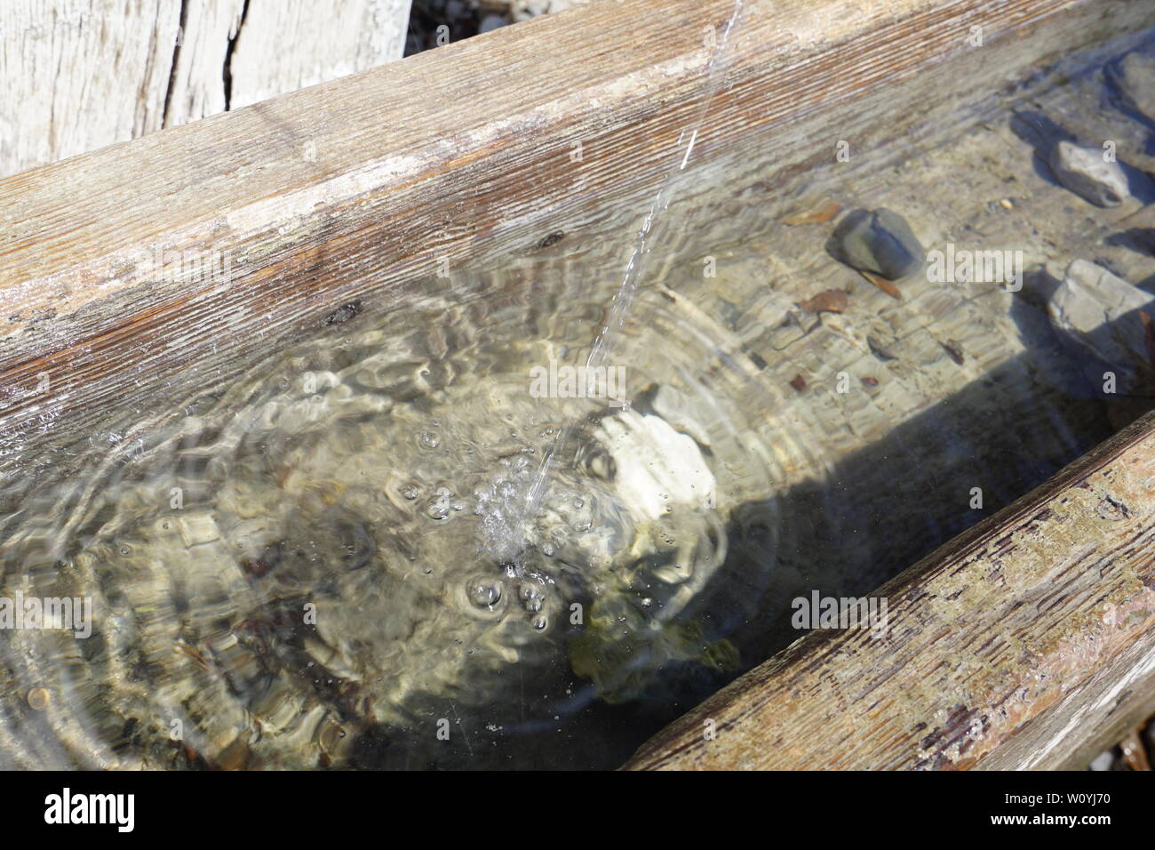 wooden drinking trough with fresh water Stock Photo - Alamy