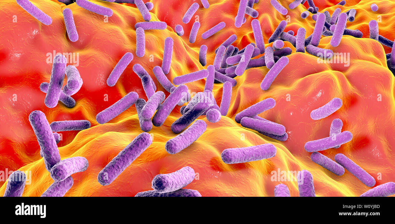 Examples Of Eubacteria