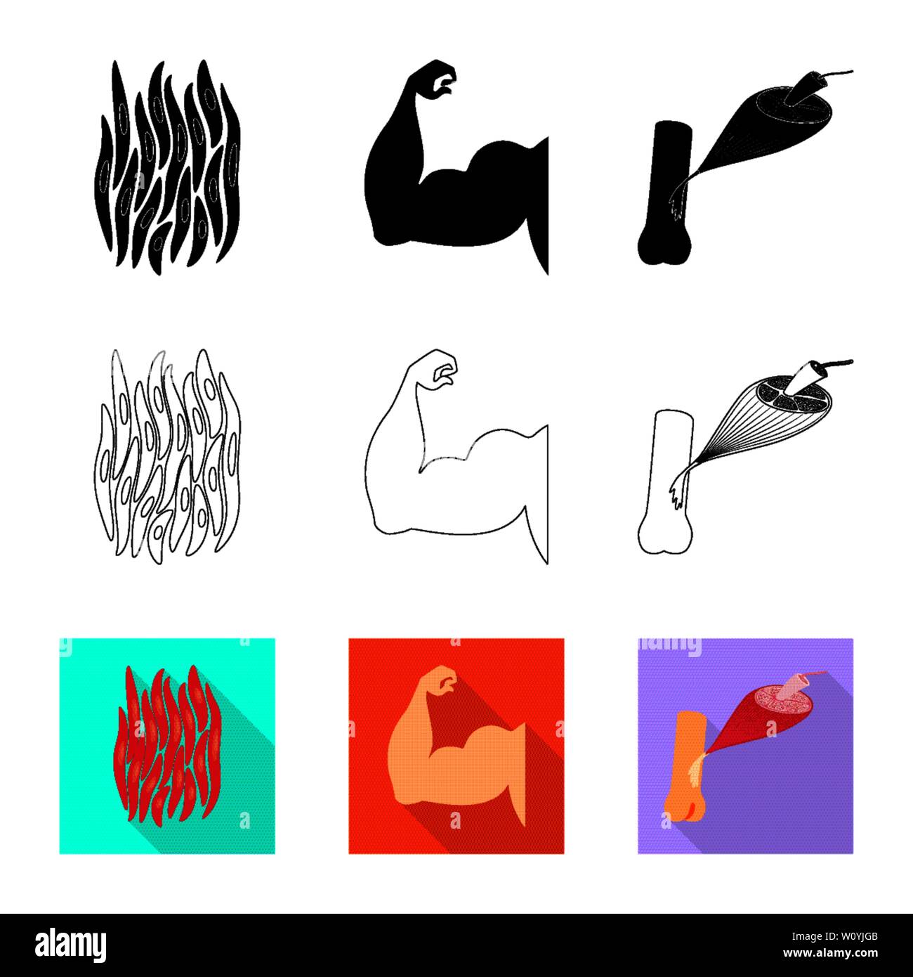 Vector illustration of fiber and muscular symbol. Collection of fiber ...