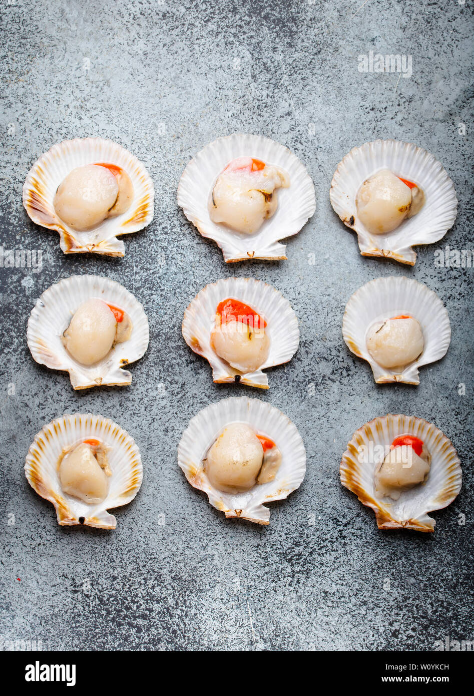 Raw fresh uncooked scallops in shells on grey rustic concrete ...