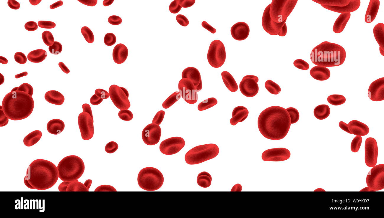 Red Blood Cells Isolated on Clear Background Stock Photo - Alamy