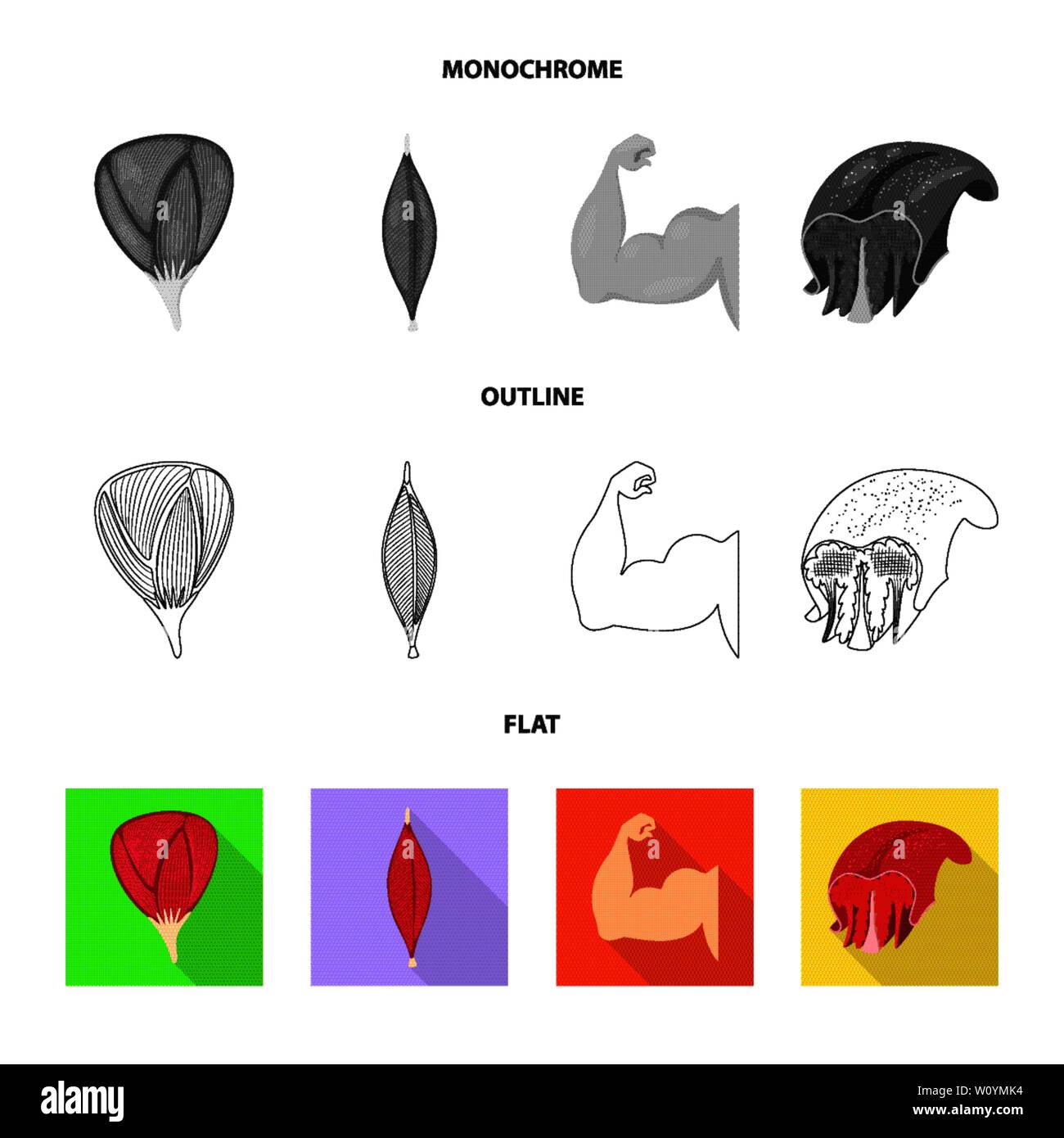 Vector design of fiber and muscular logo. Collection of fiber and body ...