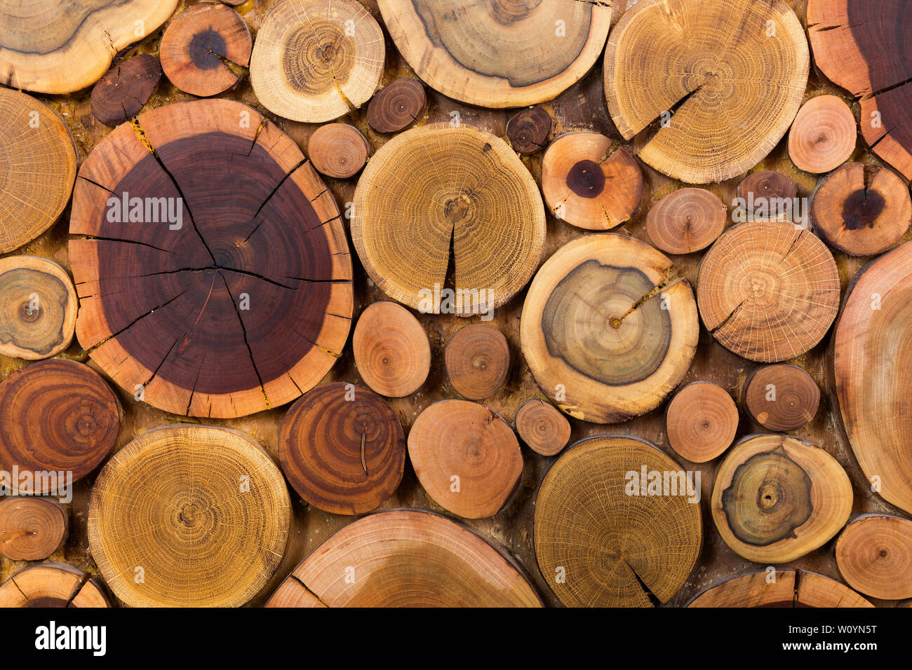 Round wooden unpainted solid natural ecological soft colored brown and ...