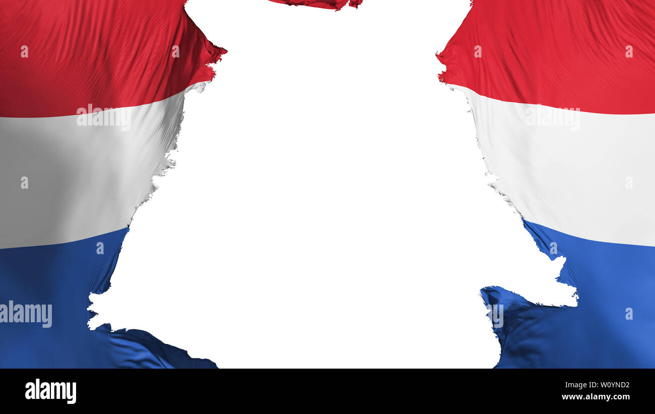 Netherlands flag ripped apart, white background, 3d rendering Stock ...