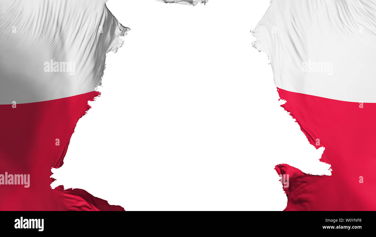 Poland flag ripped apart, white background, 3d rendering Stock Photo ...