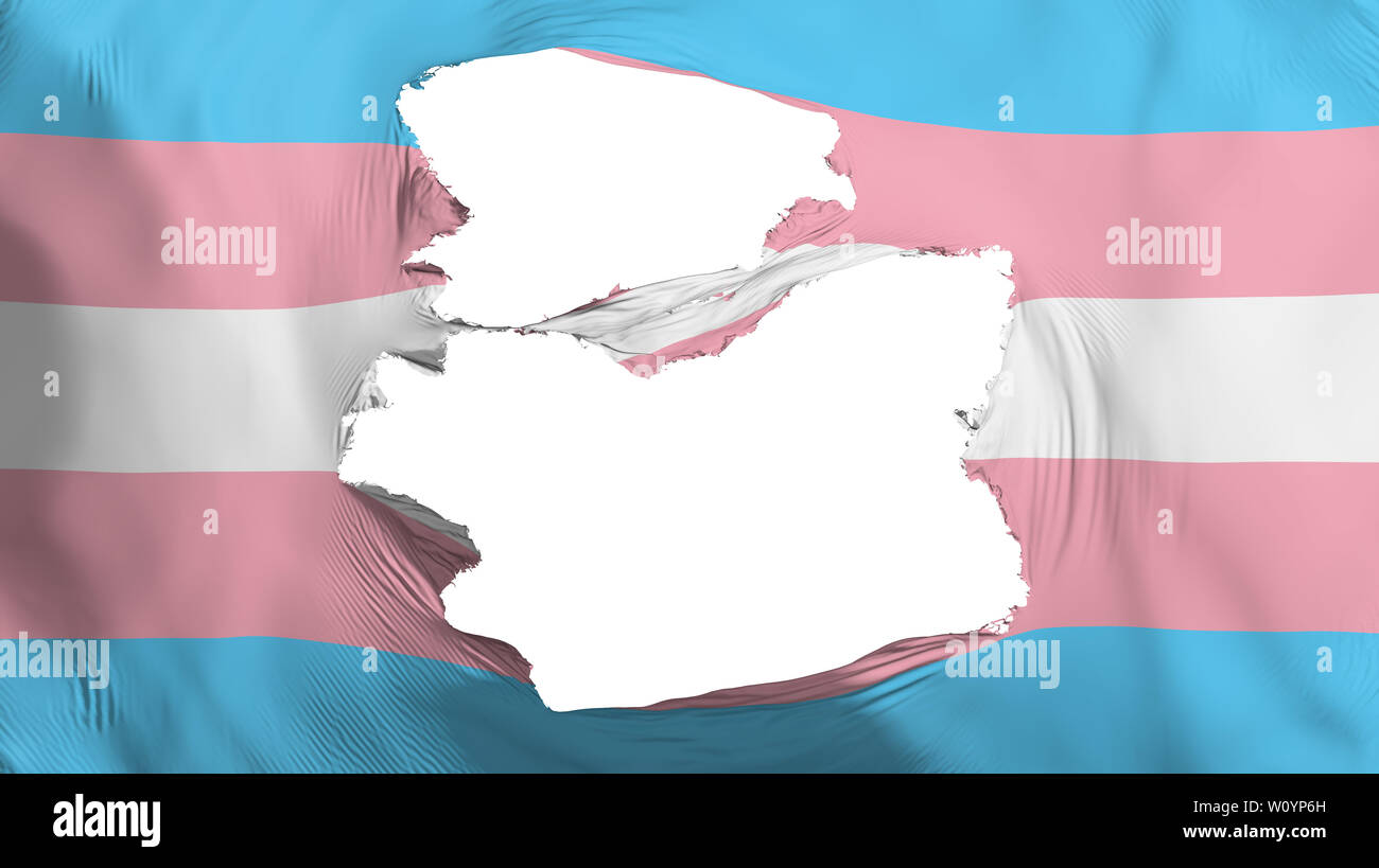 Tattered Transgender pride flag, white background, 3d rendering Stock ...