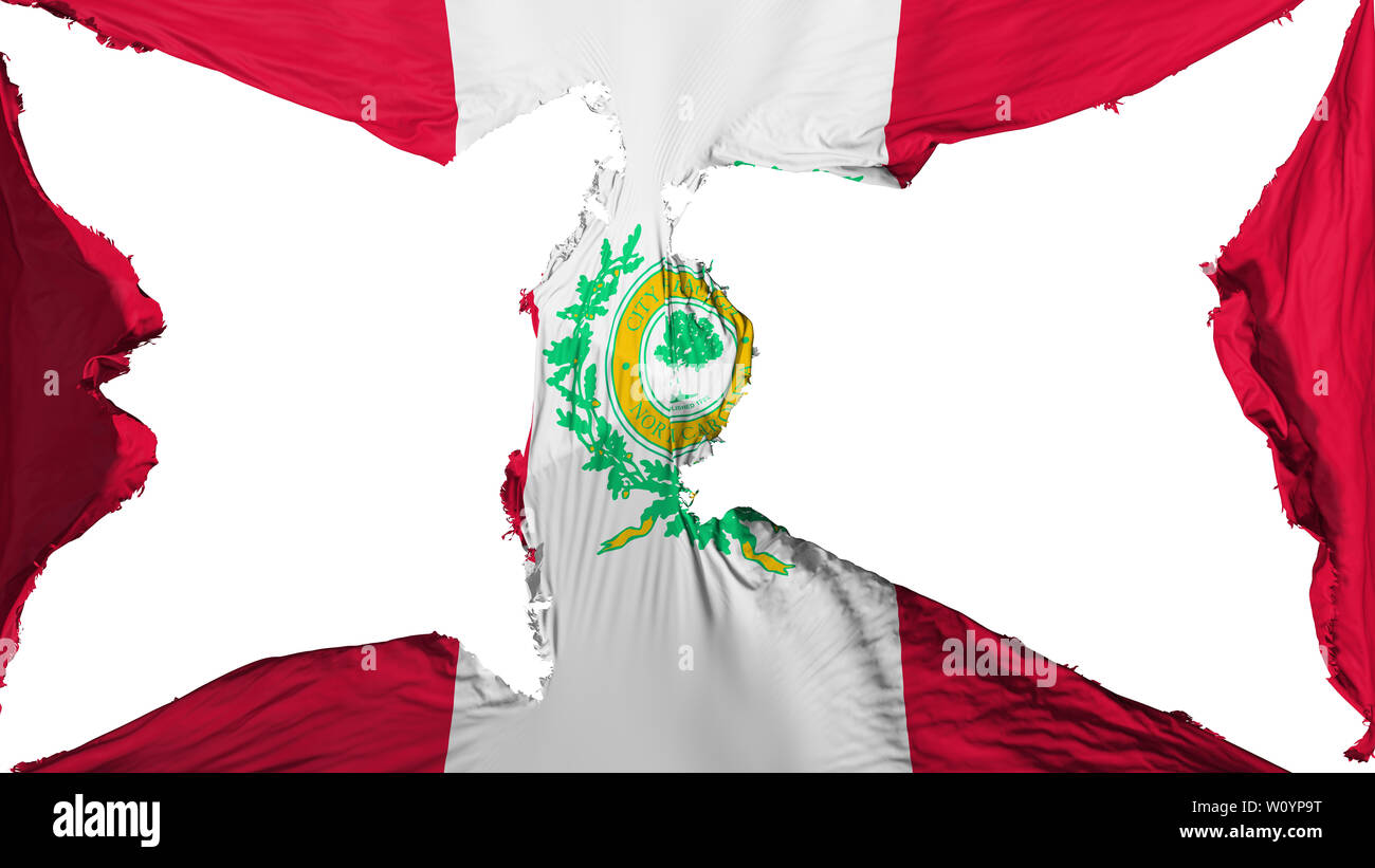 Destroyed Raleigh city, capital of North Carolina state flag, white ...