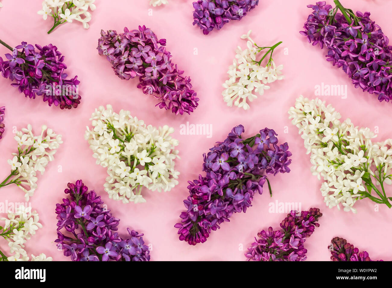 Pattern made of lilac flower branches on pastel pink background ...