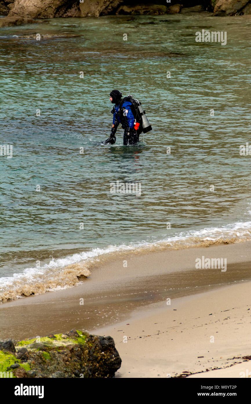 Laguna Beach, CA / USA - March 10, 2019: Scuba diver standing up in ...