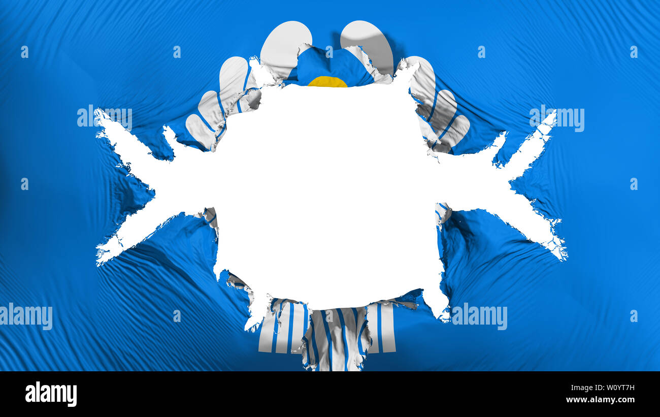 Commonwealth of Independent States flag with a big hole, white ...