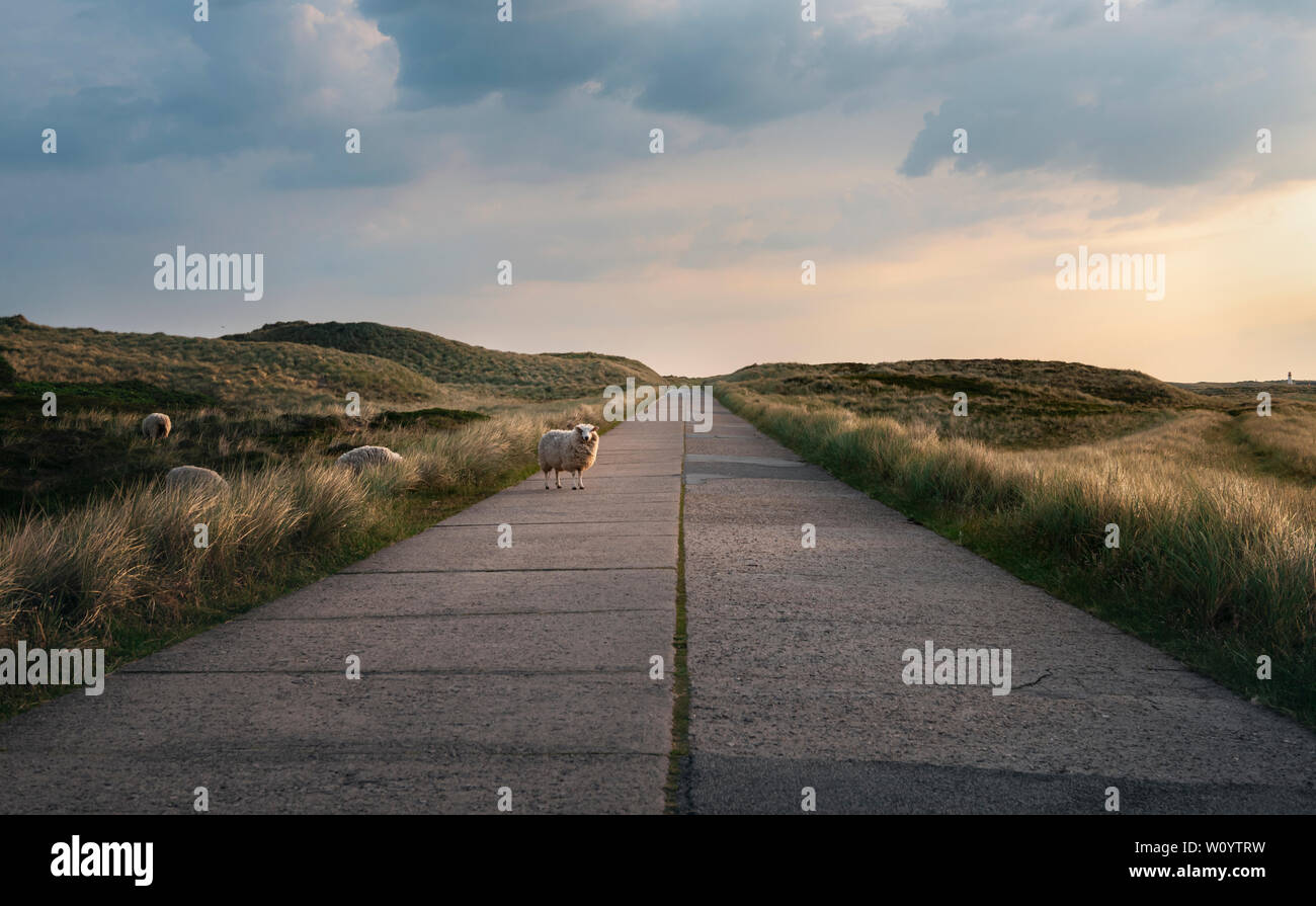 Empty german landscape hi-res stock photography and images - Alamy