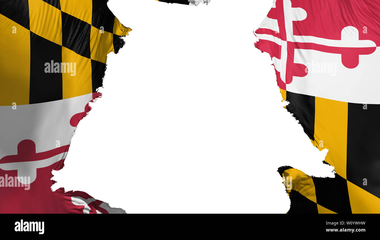 Maryland state flag ripped apart, white background, 3d rendering Stock ...