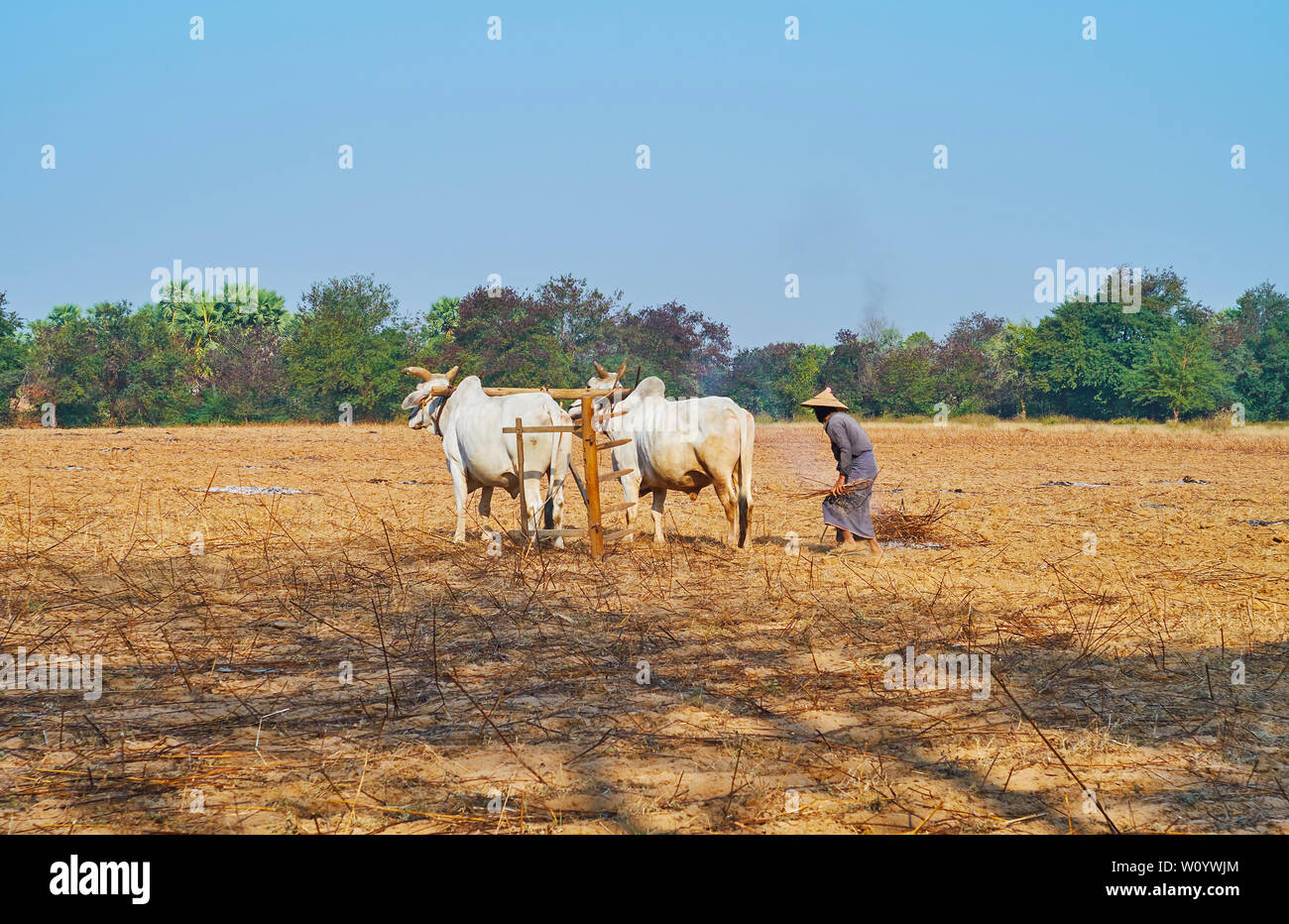 Furrow plough tilling field hi-res stock photography and images - Alamy