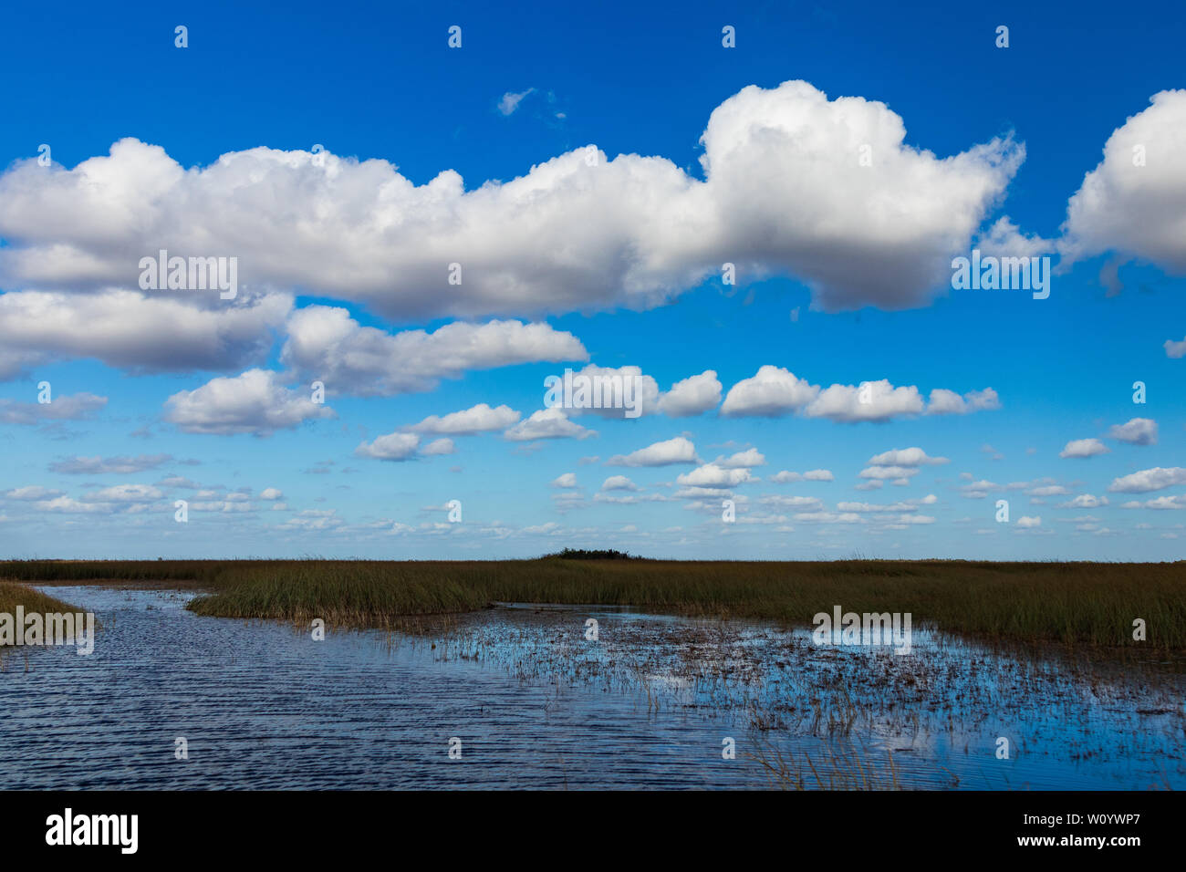 Everglades National Park, Florida, USA Stock Photo - Alamy