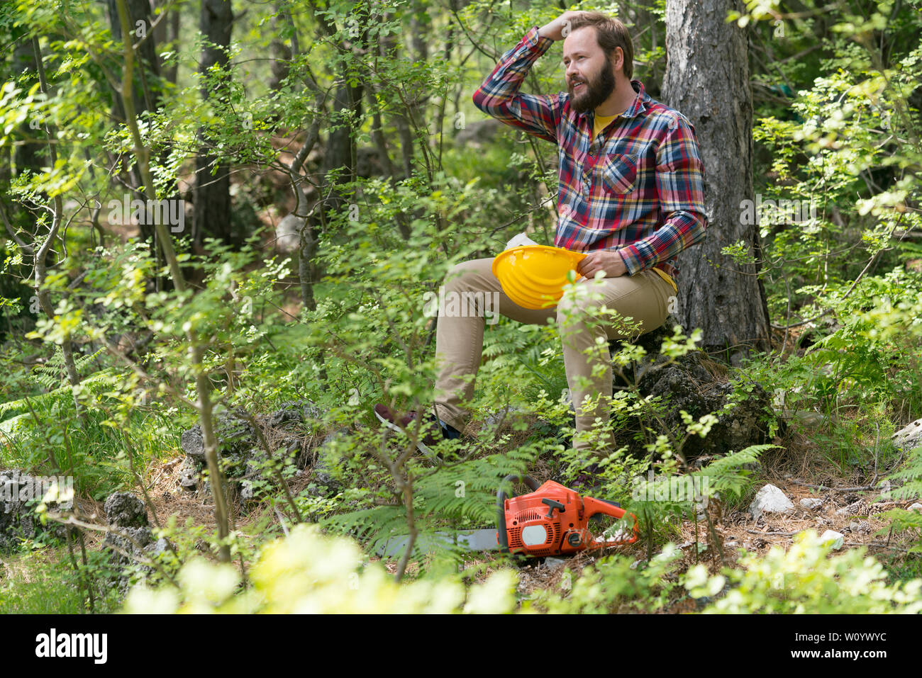 a bearded chainsaw worker in the forest Stock Photo - Alamy