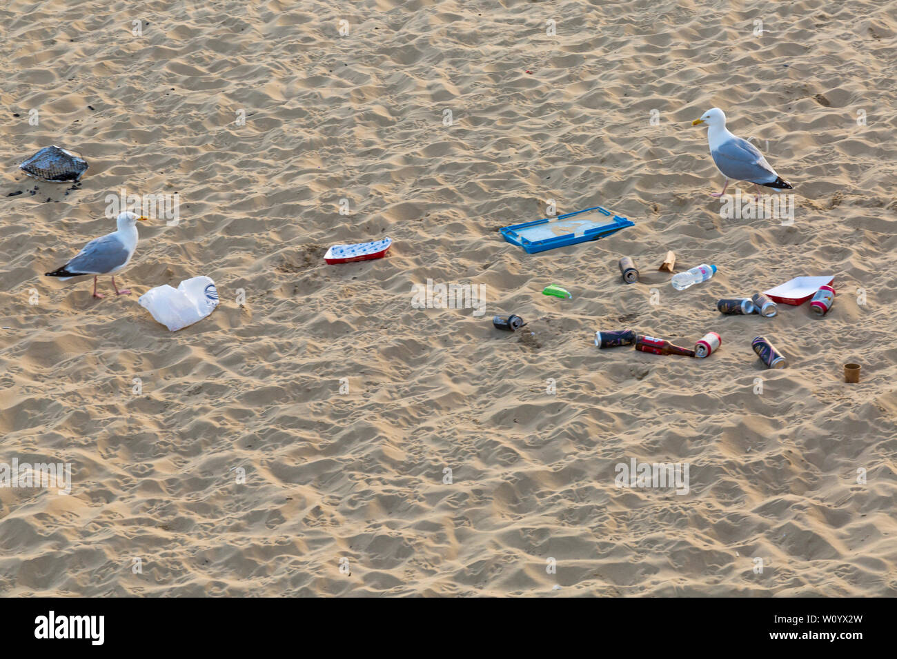 Great british beach clean 2019 hi-res stock photography and images - Alamy