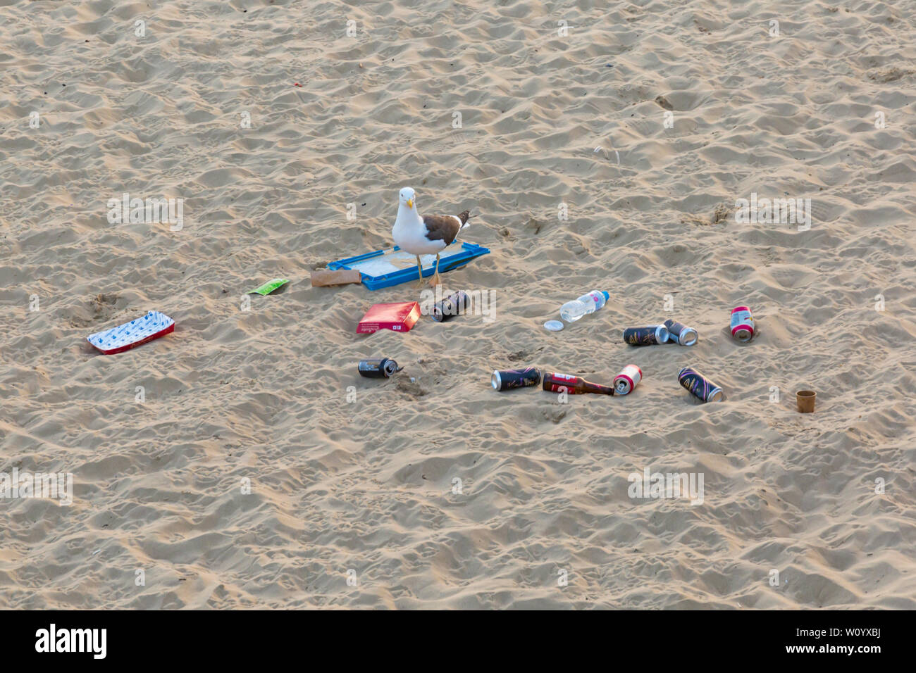 Great british beach clean 2019 hi-res stock photography and images - Alamy