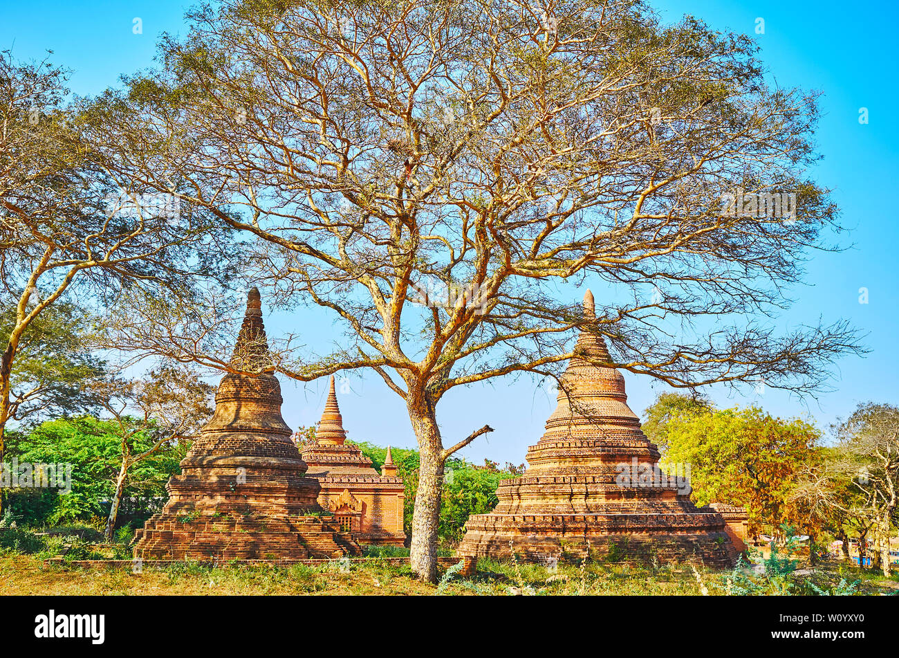Enjoy the ancient architectural landmarks of Bagan and explore its ...