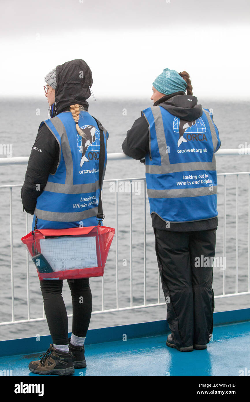 Whale and Dolphin watching by members of Orca on the Brittany ferries ...