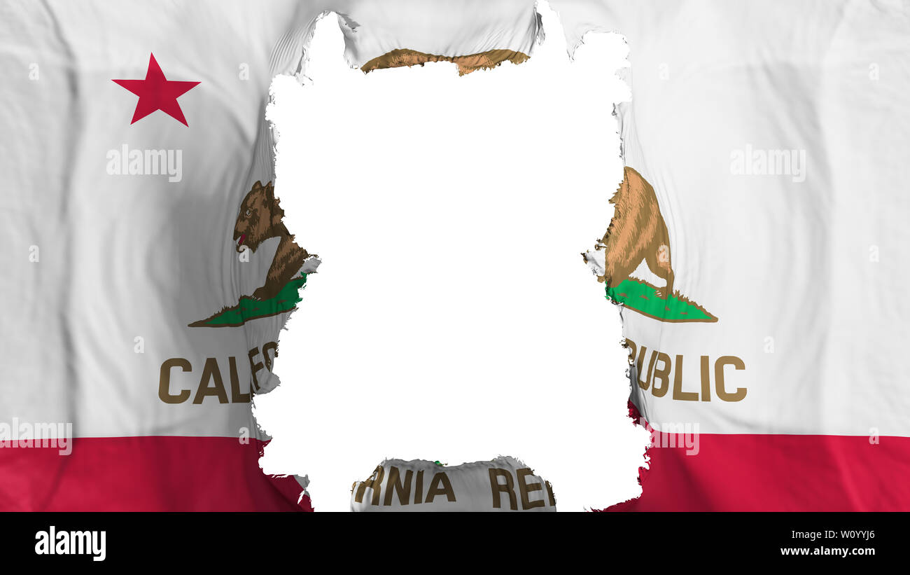 Ripped California state flying flag, over white background, 3d ...
