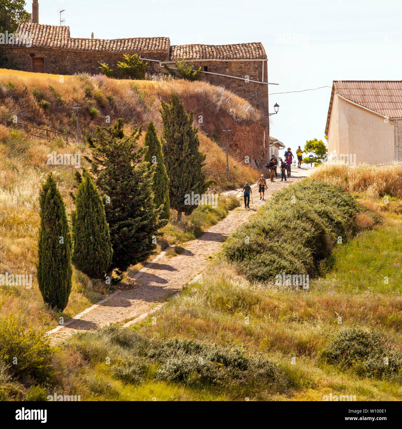 Pilgrims walking the Spanish Camino de Santiago the way of St James ...