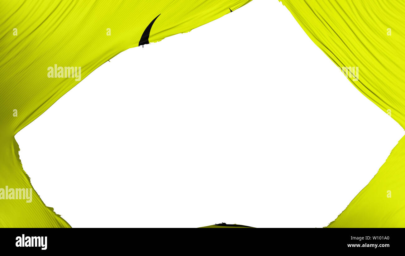 Divided Warning Hazard Radiation flag, white background, 3d rendering ...