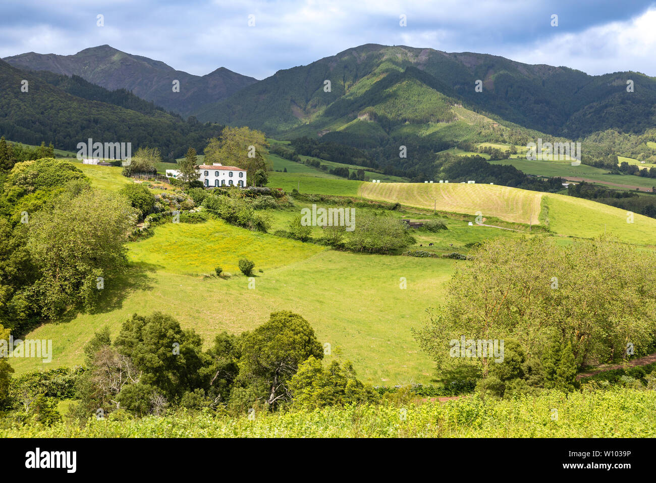 Landscape in the south of Sao Miguel island, Azores archipelago ...