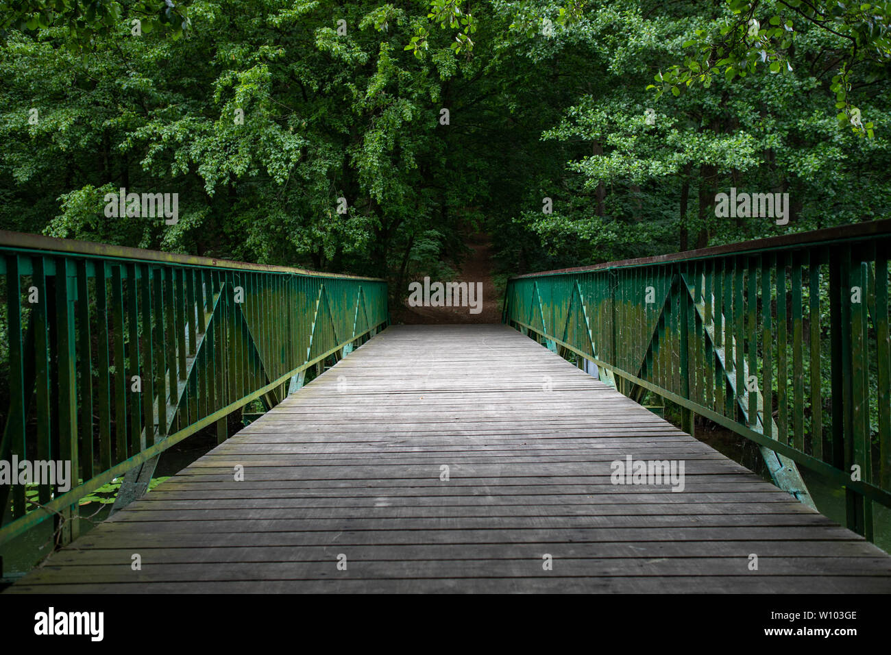 Footbridge over the water leading to the park. Passage over the water ...