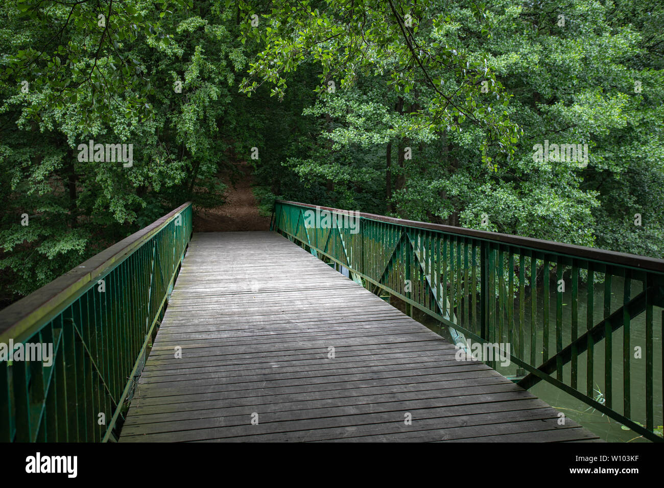 Footbridge over the water leading to the park. Passage over the water ...